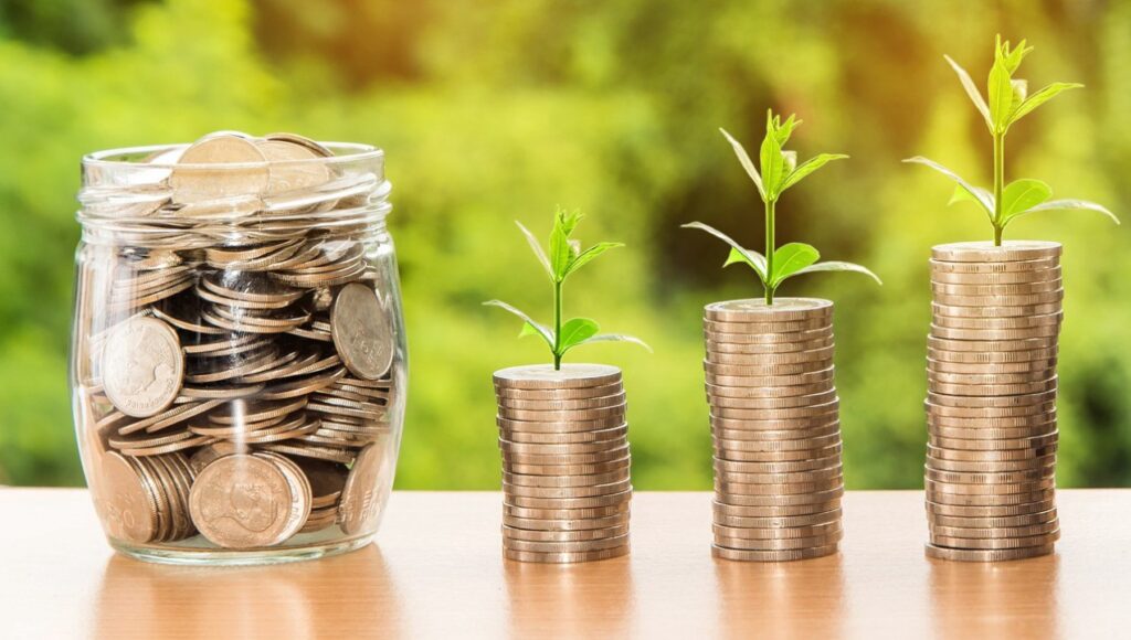 Finances In A Placement Supervised Agricultural Experience